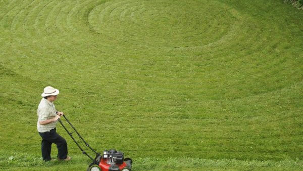 Eye-Catching Lawn Mowing Patterns to Try – Yarbo