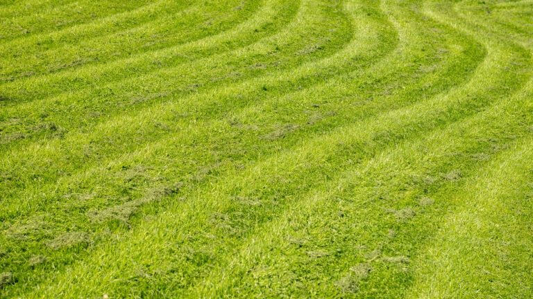 Eye-Catching Lawn Mowing Patterns to Try – Yarbo