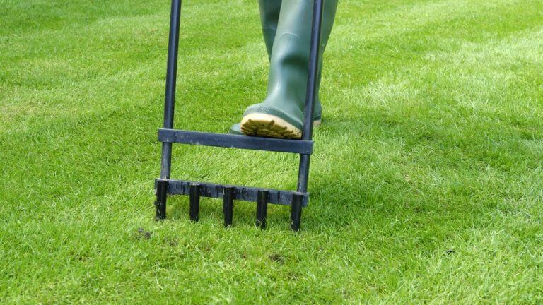 The Science Behind Lawn Aeration: Why and When You Should Do It The Science Behind Lawn Aeration: Why and When You Should Do It